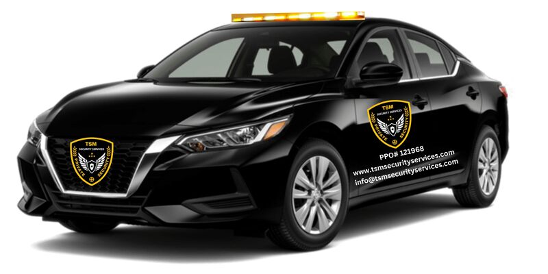 TSM Security Services